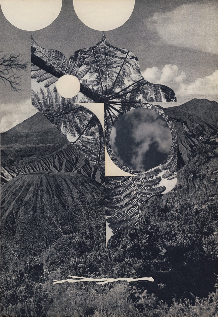 Louis Reith » Subbacultcha