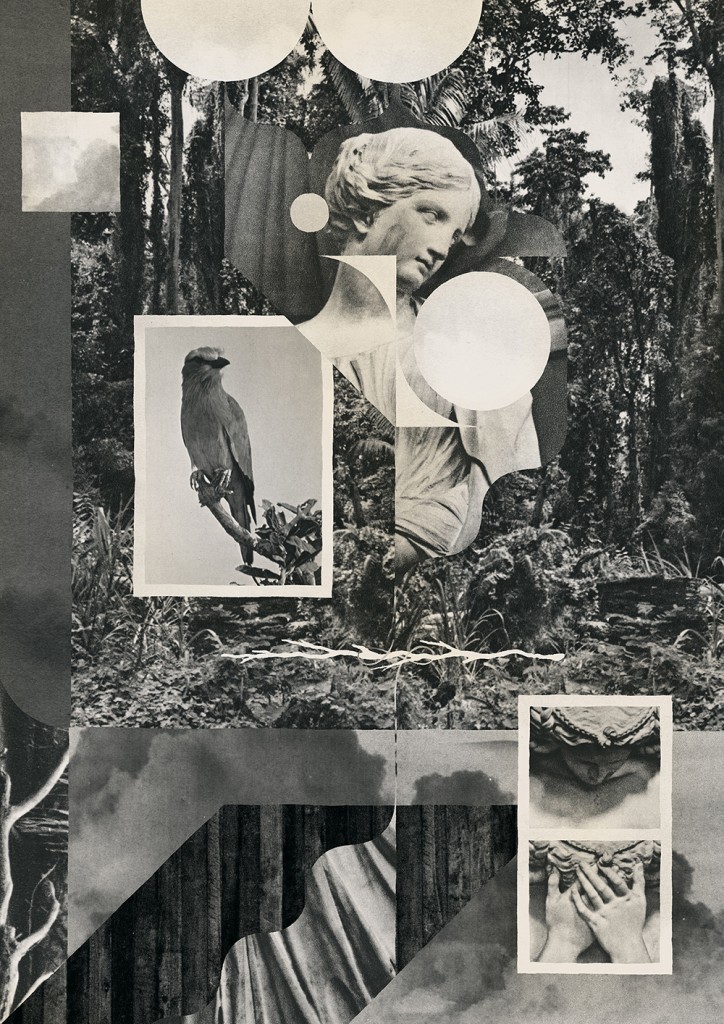 Louis Reith » Subbacultcha