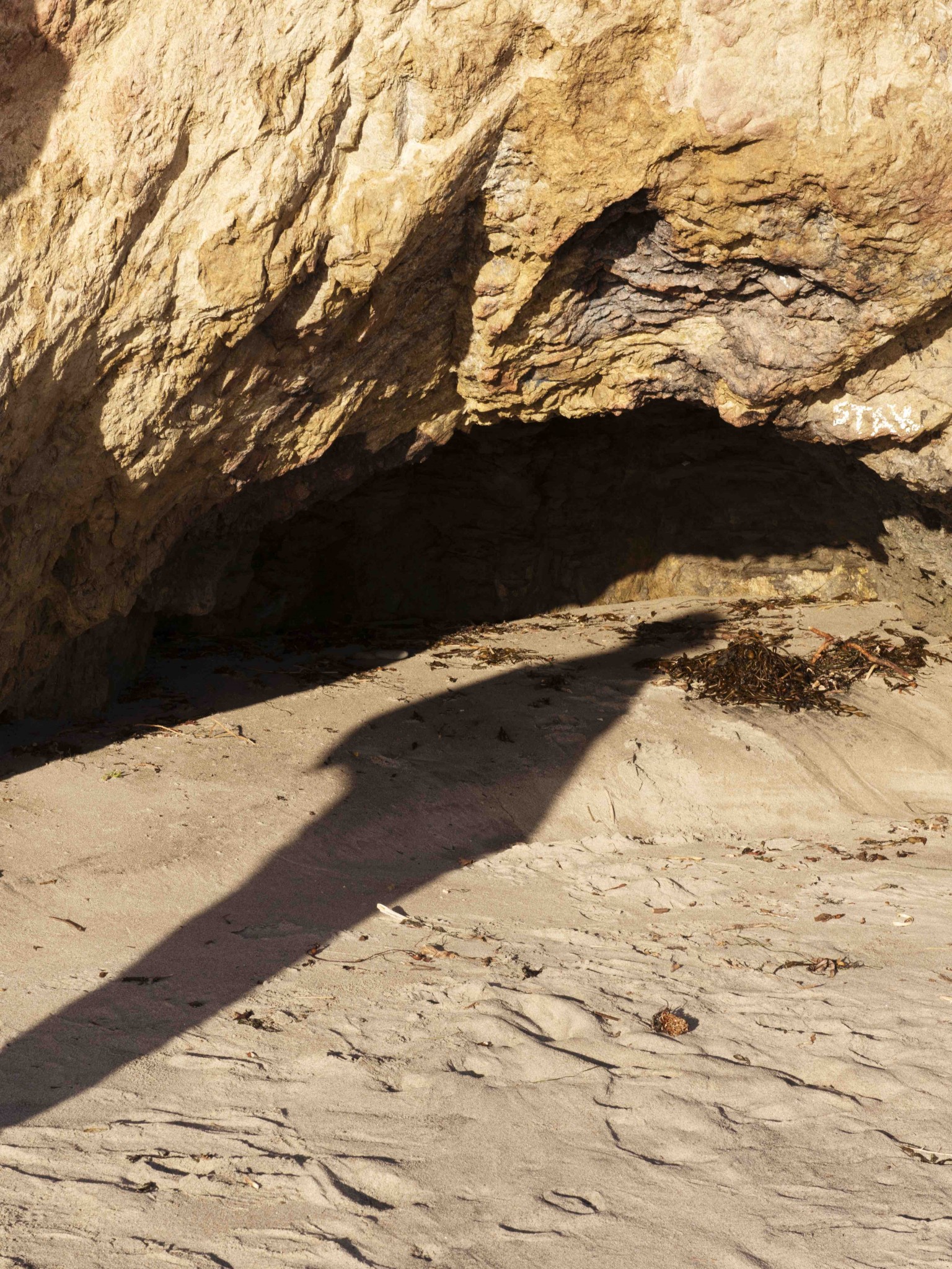 Palmbomen II » Subbacultcha