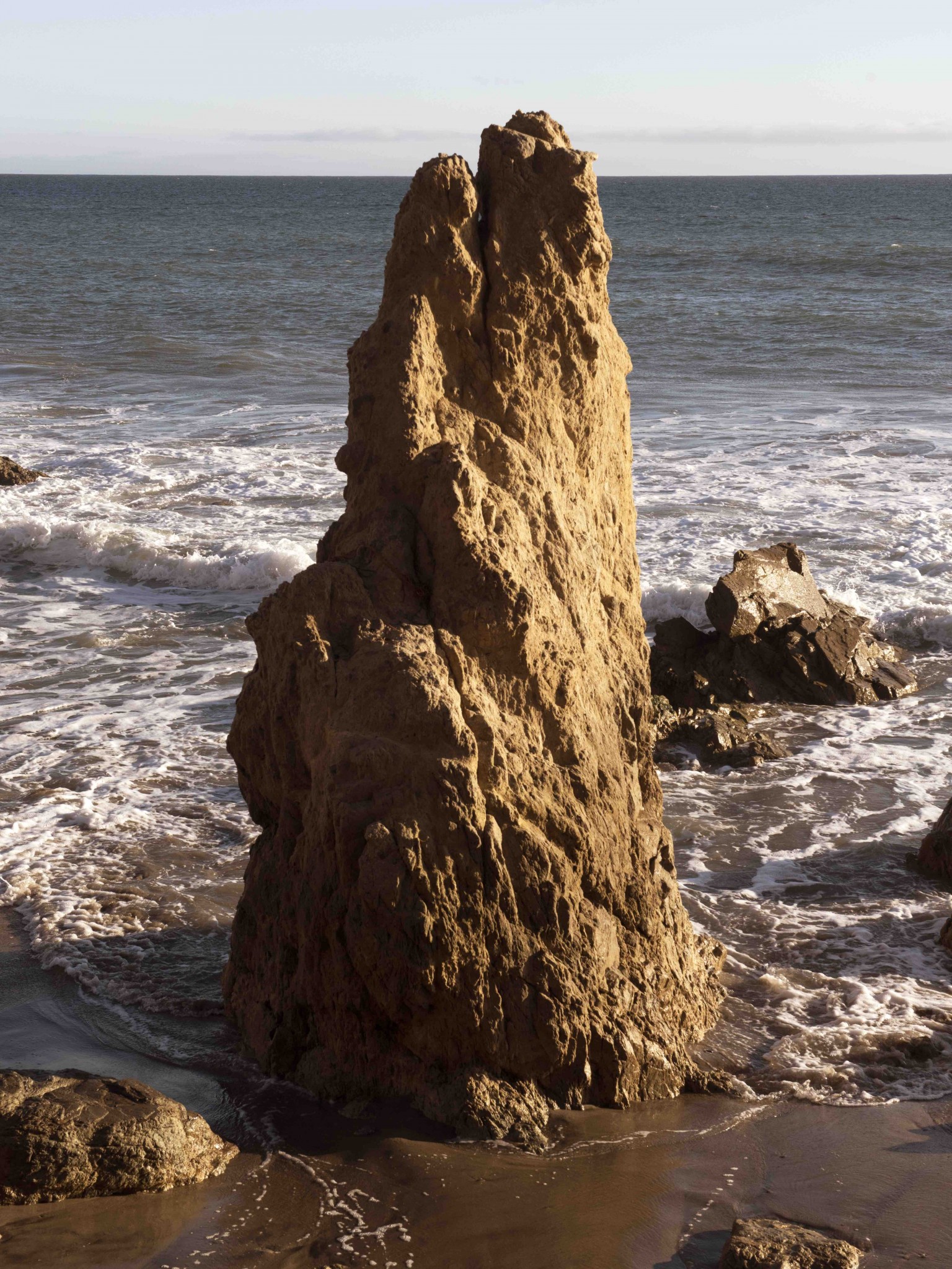 Palmbomen II » Subbacultcha