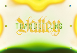 Valley: Transitions » Subbacultcha