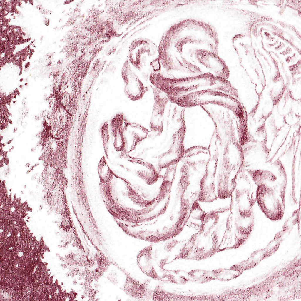 Sprout Issue 14- Pollination / Pollution » Subbacultcha