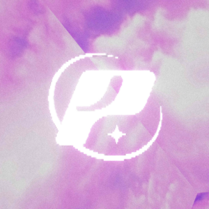 PYXLS » Subbacultcha