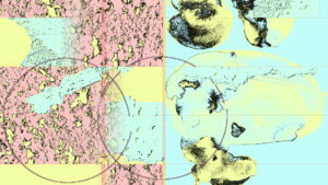 Rewire 2025 » Subbacultcha